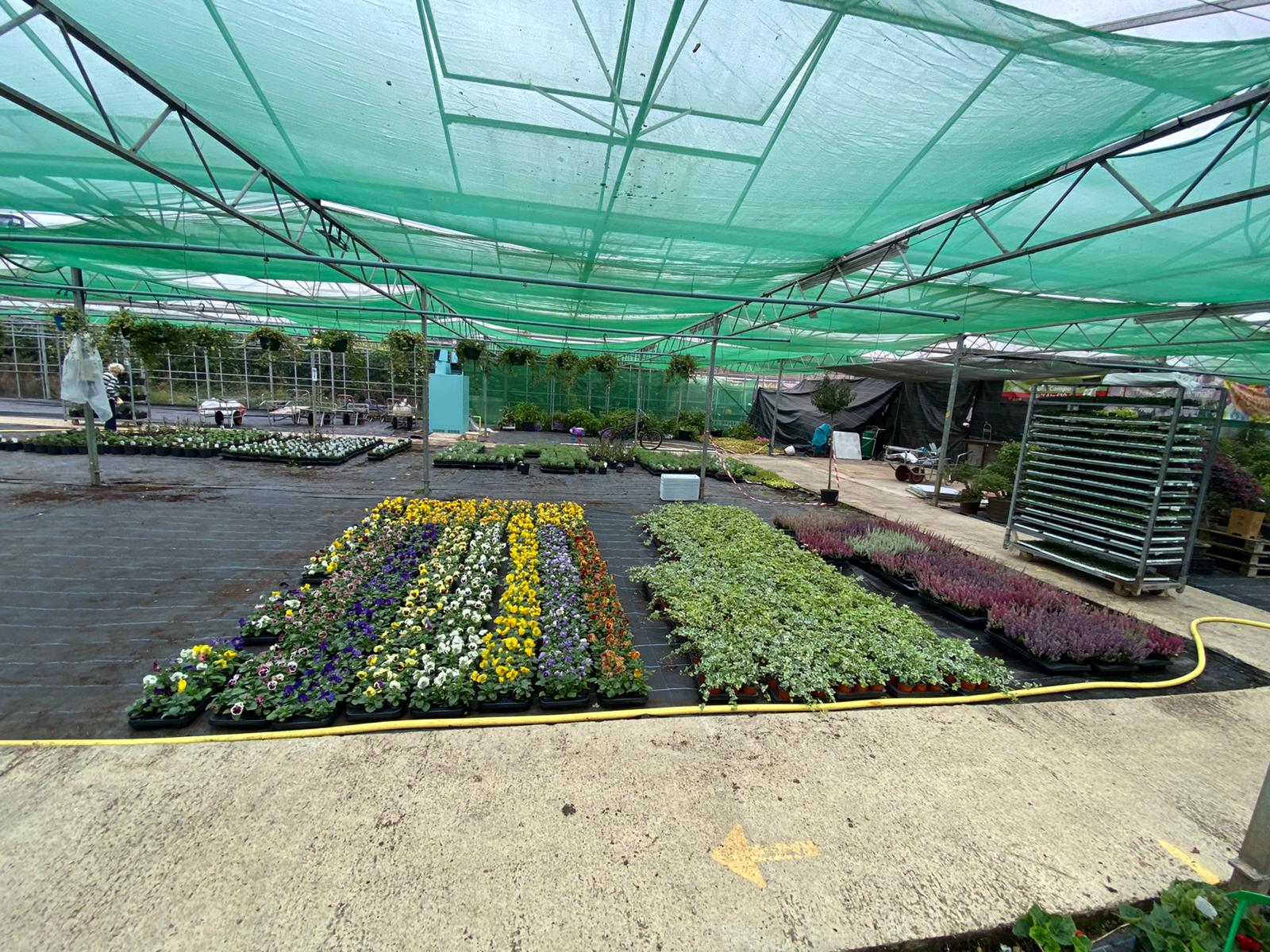Savin Nurseries | Lower Stondon | Garden Centre