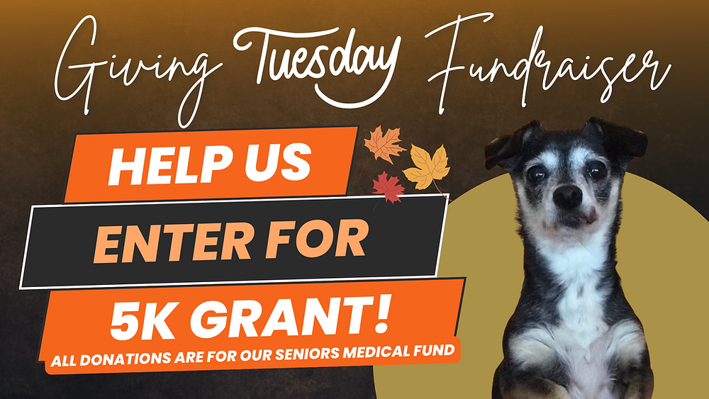 5k Grant Fundraiser For Medical Fund Help Us Qualify This Giving Tuesday