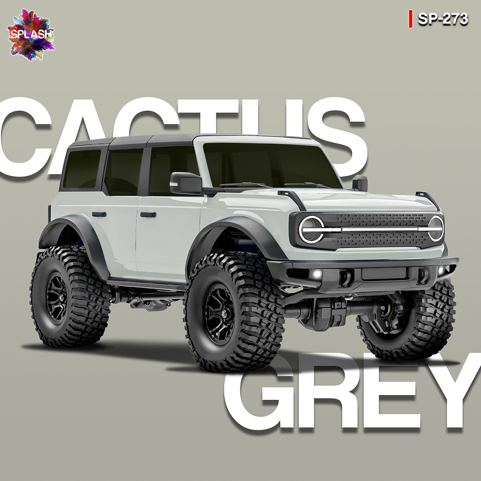Cactus Grey | splash paints