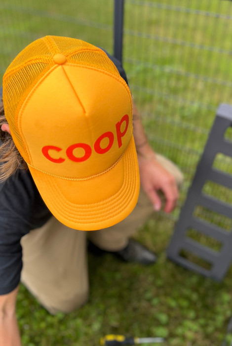 The Smart Coop | Smart Chicken Coop for Beginners