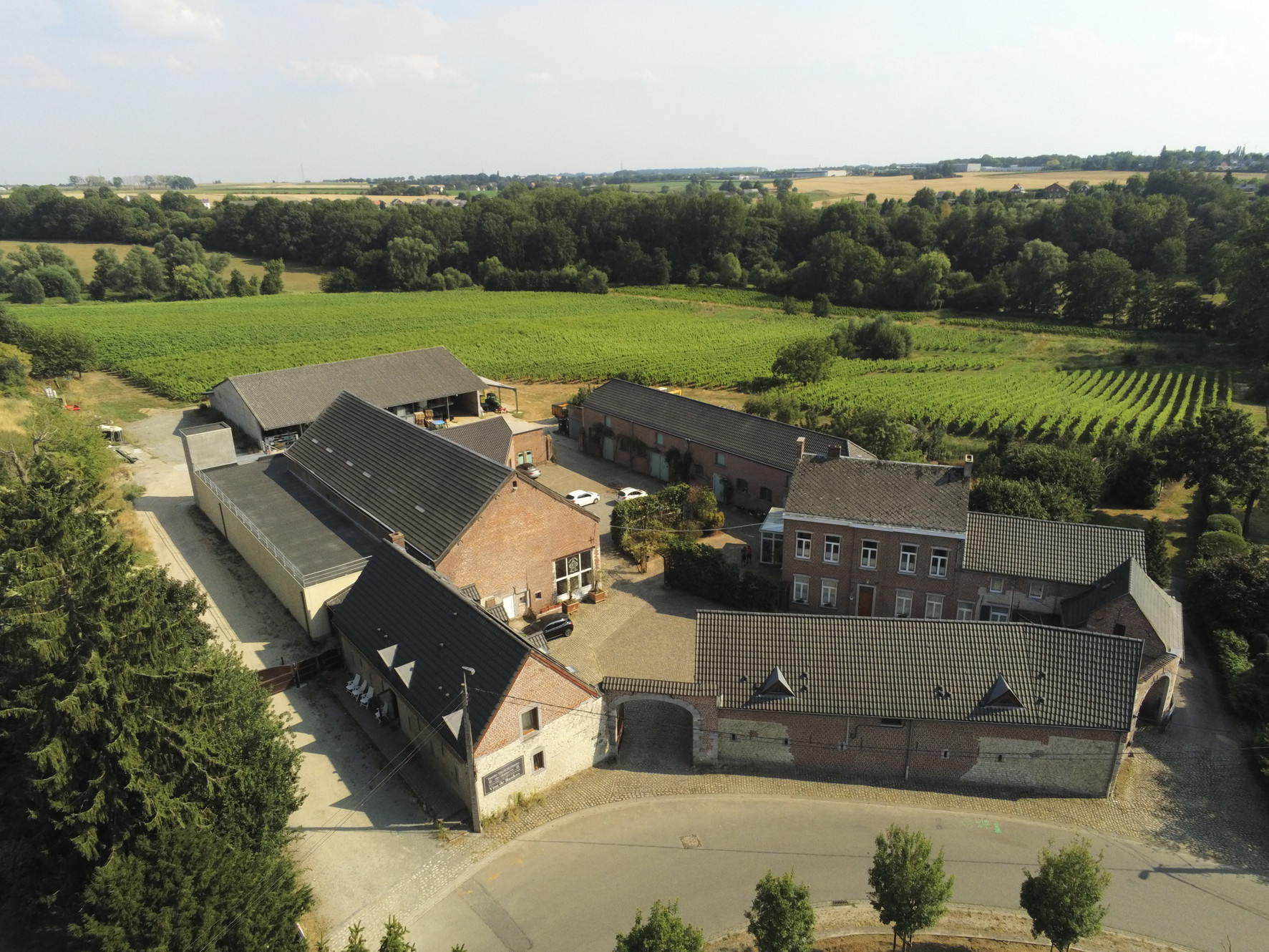 Vins Belges | Domaine du Chapitre | Nivelles