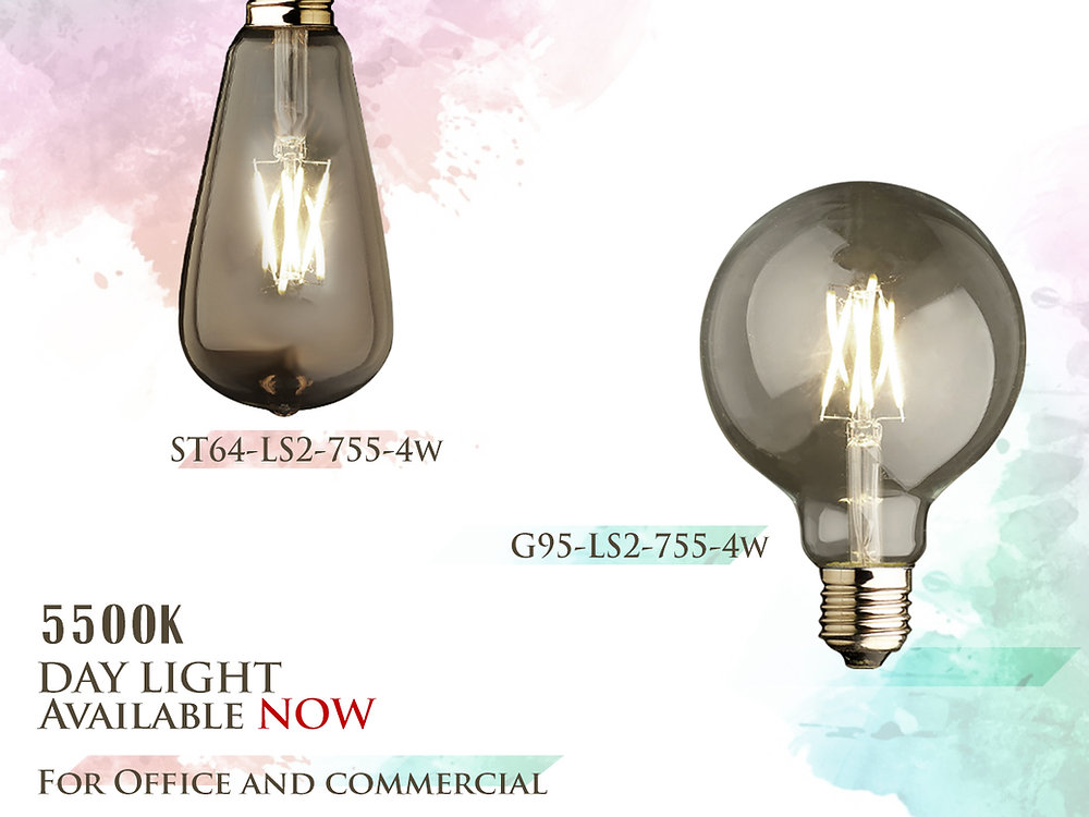 5500K Day light EDISON BULB