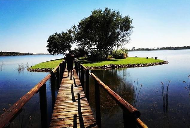TangleWood Nature Estate | Boskop Dam | North West