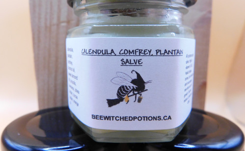 Calendula Comfrey Plantain Organic Salve | Beewitched Potions