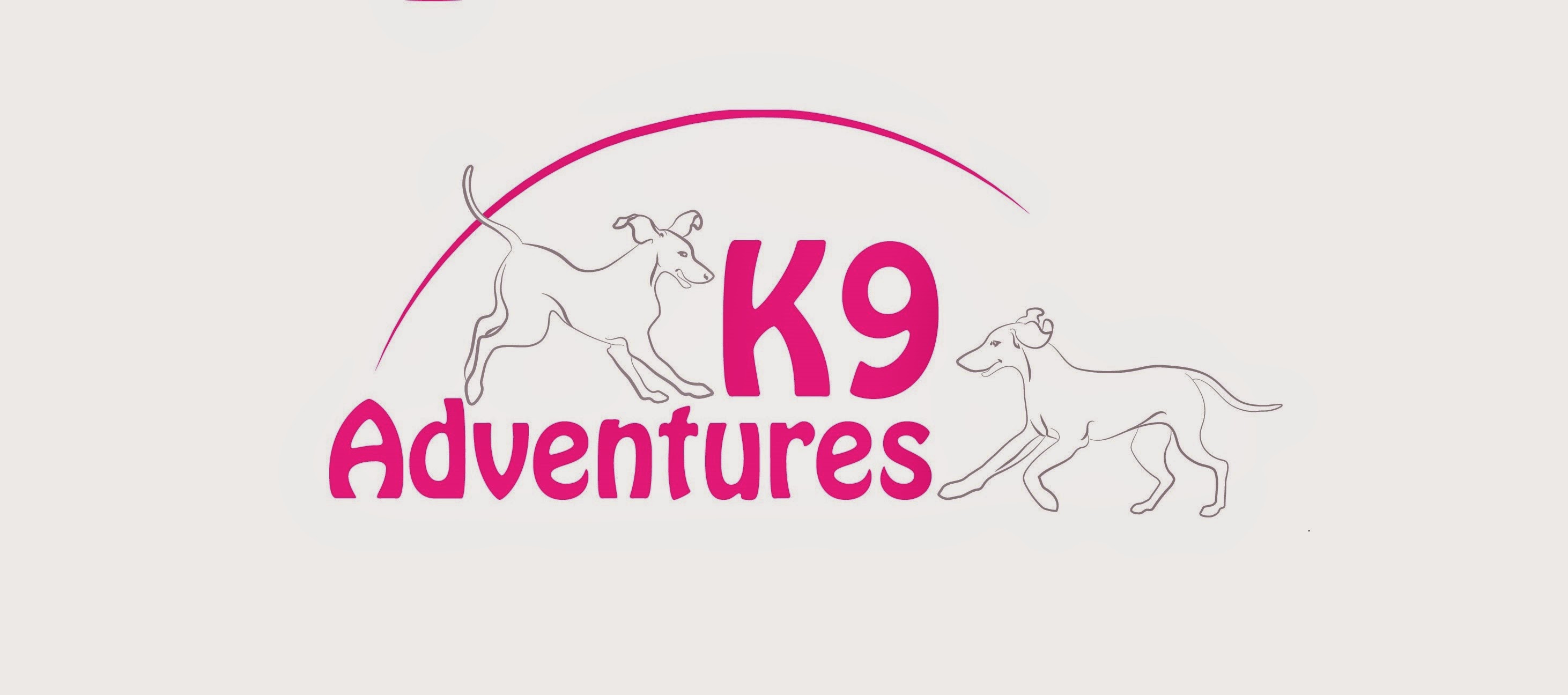 K9 Adventure Ruislip