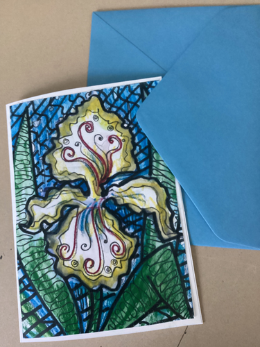 Set of 4 IRIS greeting cards by artist Stephanie Barrow | Vandoodle ART