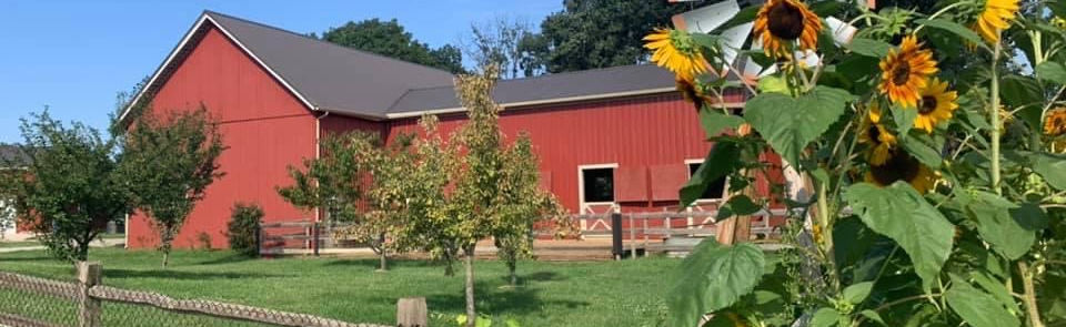 Horse Boarding | Fallen Oaks Farm & S