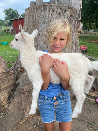 Full-Day | Fallen Oaks Farm & S