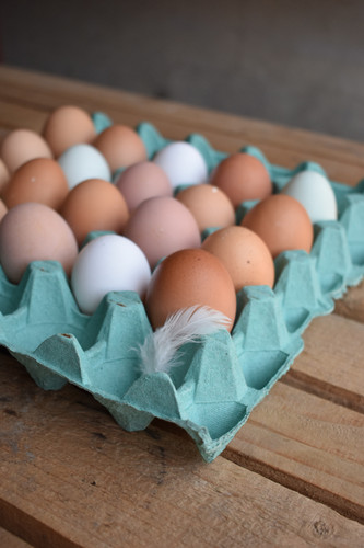 Tray of 30 eggs | Nunwell Home Farm