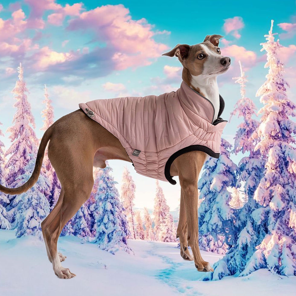 Shop | Peanut’s Clawset