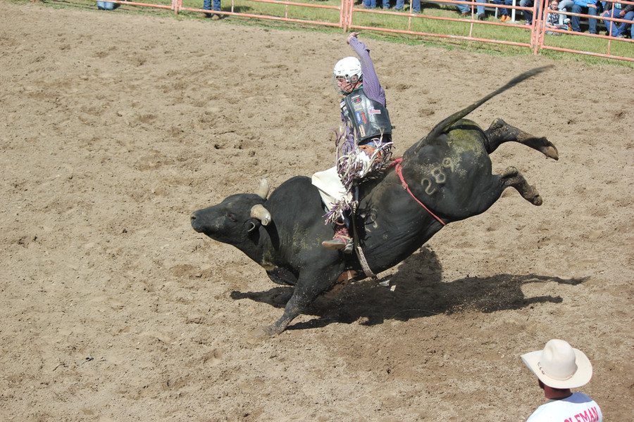 Home | Hulett Rodeo