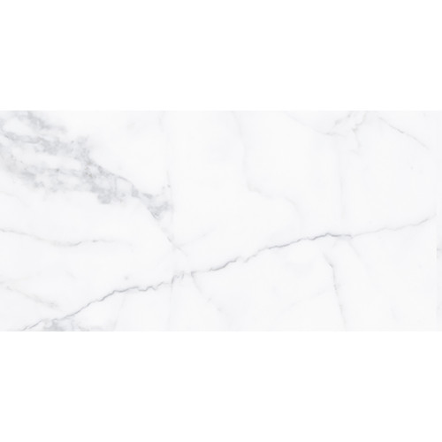 Alpine Carrara Marble 30x60 | Dave 2