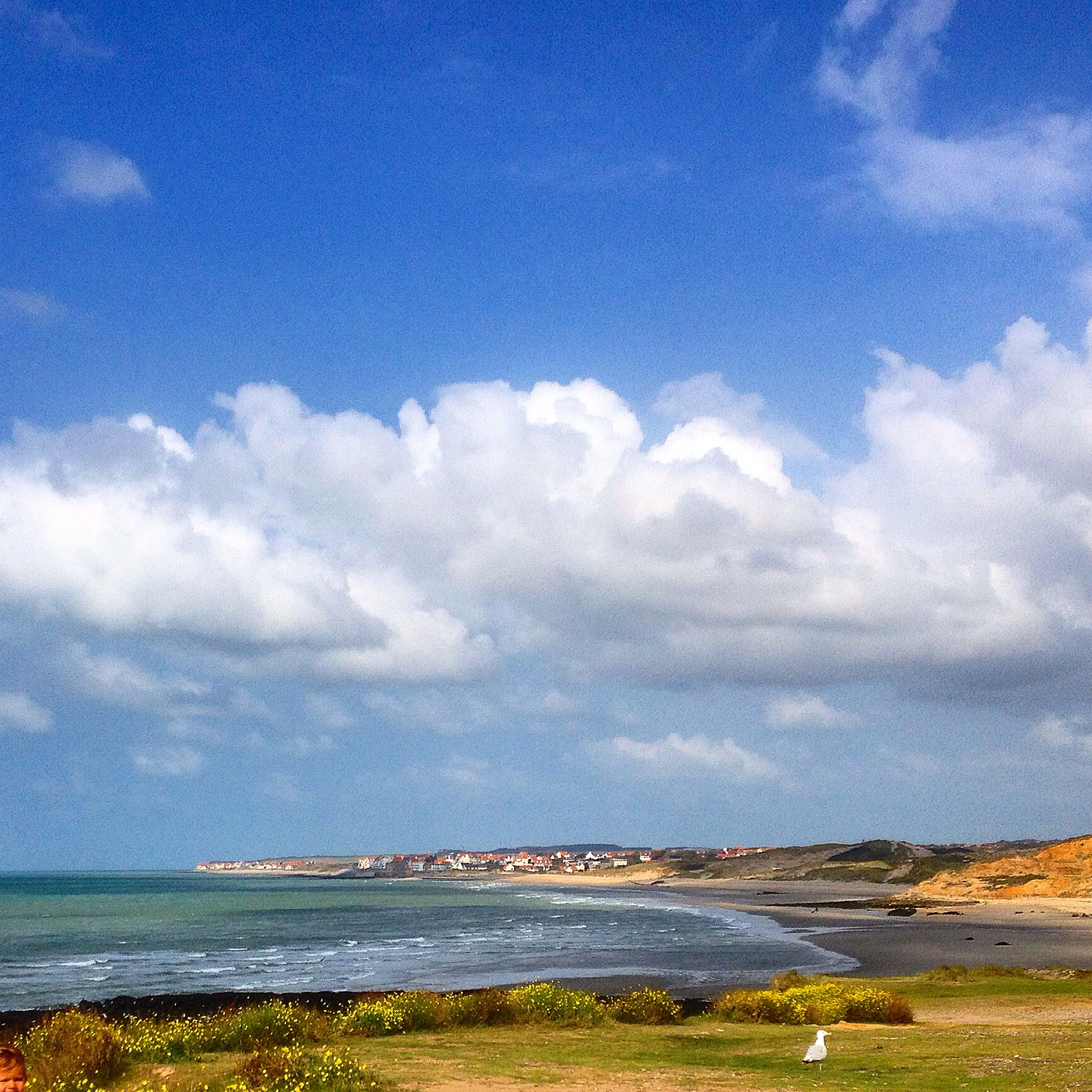Rauba Capeù Wimereux Côte d'Opale