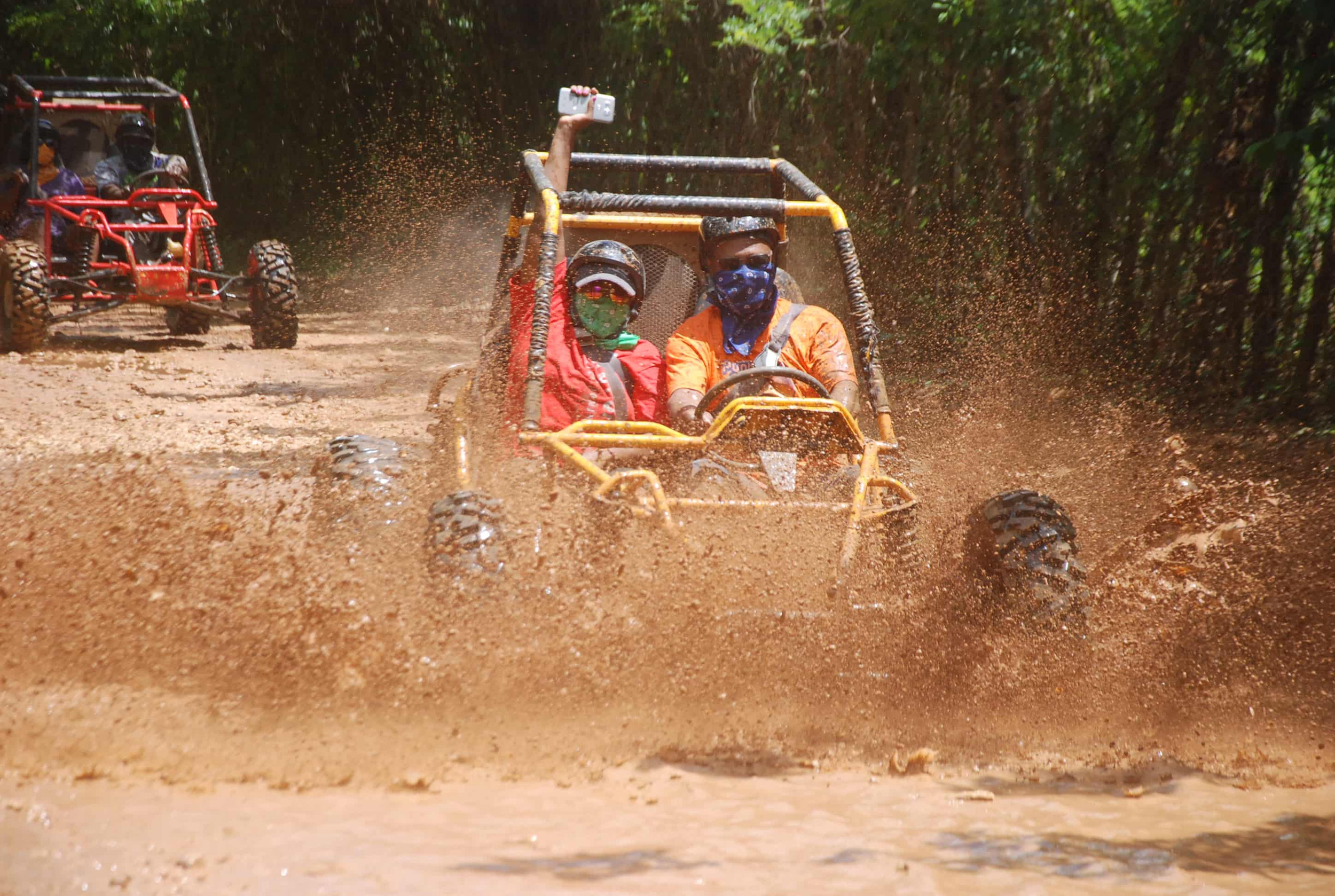 DESCRIPTION | Wild Tiger Buggy