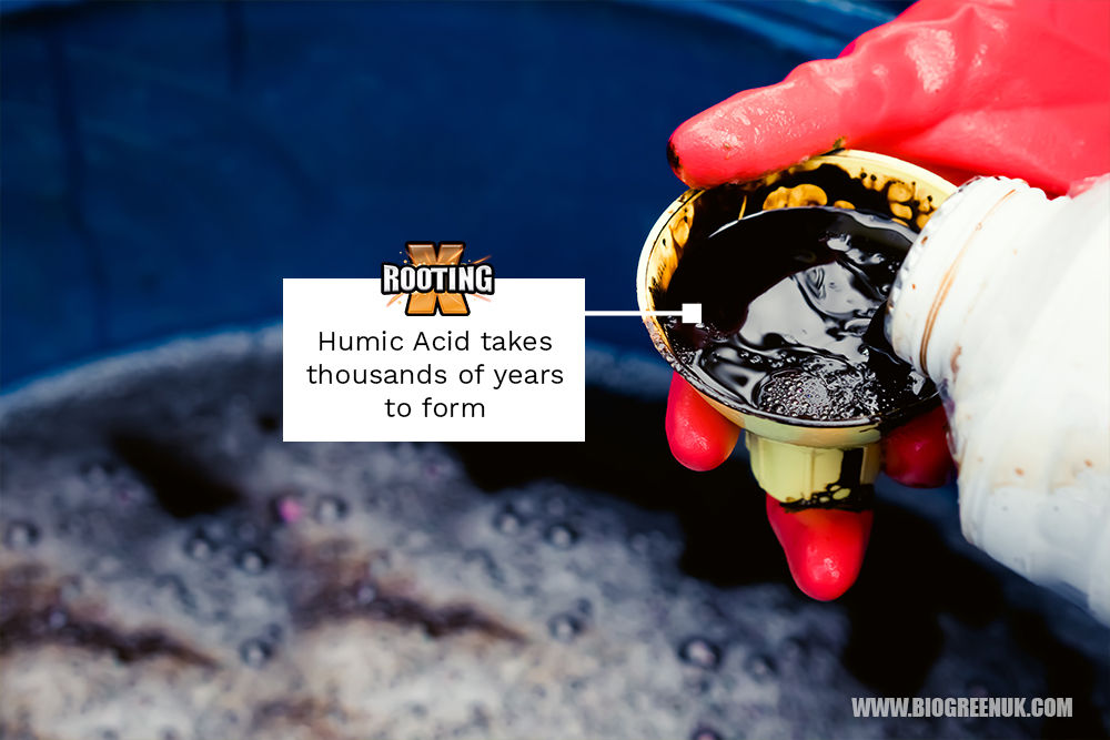 How to Use Humic Acid in Plants and it's Benefits