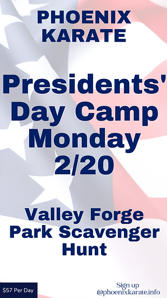 Phoenix Karate Day Camp - Phoenix Karate | Phoenixville, PA