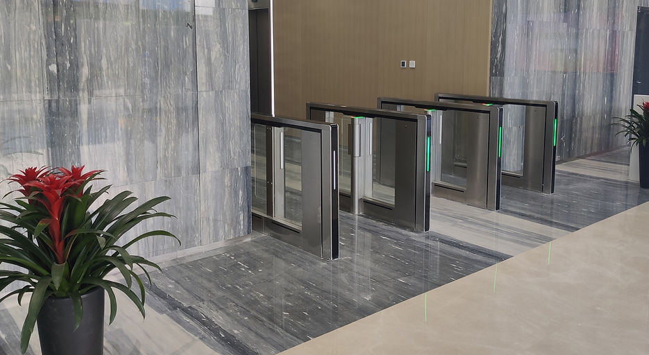 Speed Gate PG600 | Evolve (ESP)