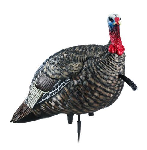 Avian-X HDR Jake Decoy | Old Oaks Outdoors