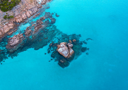 Point Piquet Blue | Paul Dowe Galleries