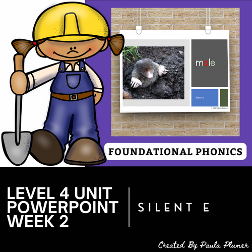 Silent e Phonics Slides | PowerPoint 12 | Waltzing Blossom Lit