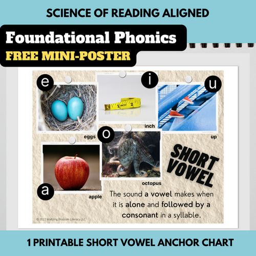Free Short Vowel Sounds Visual Aid | Waltzing Blossom Lit