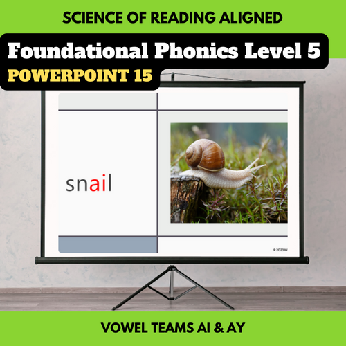 Vowel Teams ai and ay Phonics Slides | PowerPoint 15 | Waltzing Blossom Lit