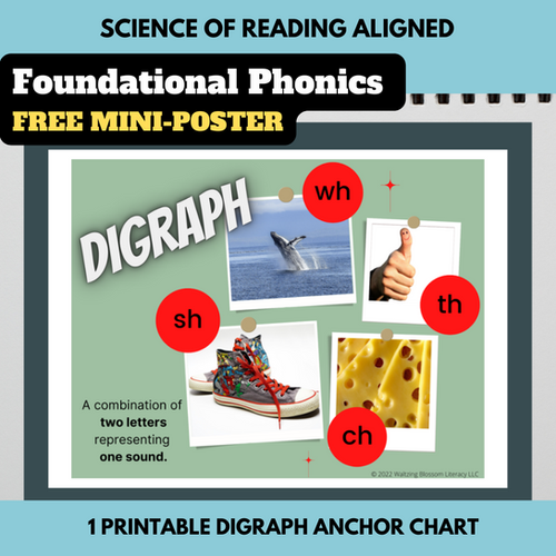Early Literacy Resource: Free Consonant Digraphs Mini-Poster | Waltzing ...