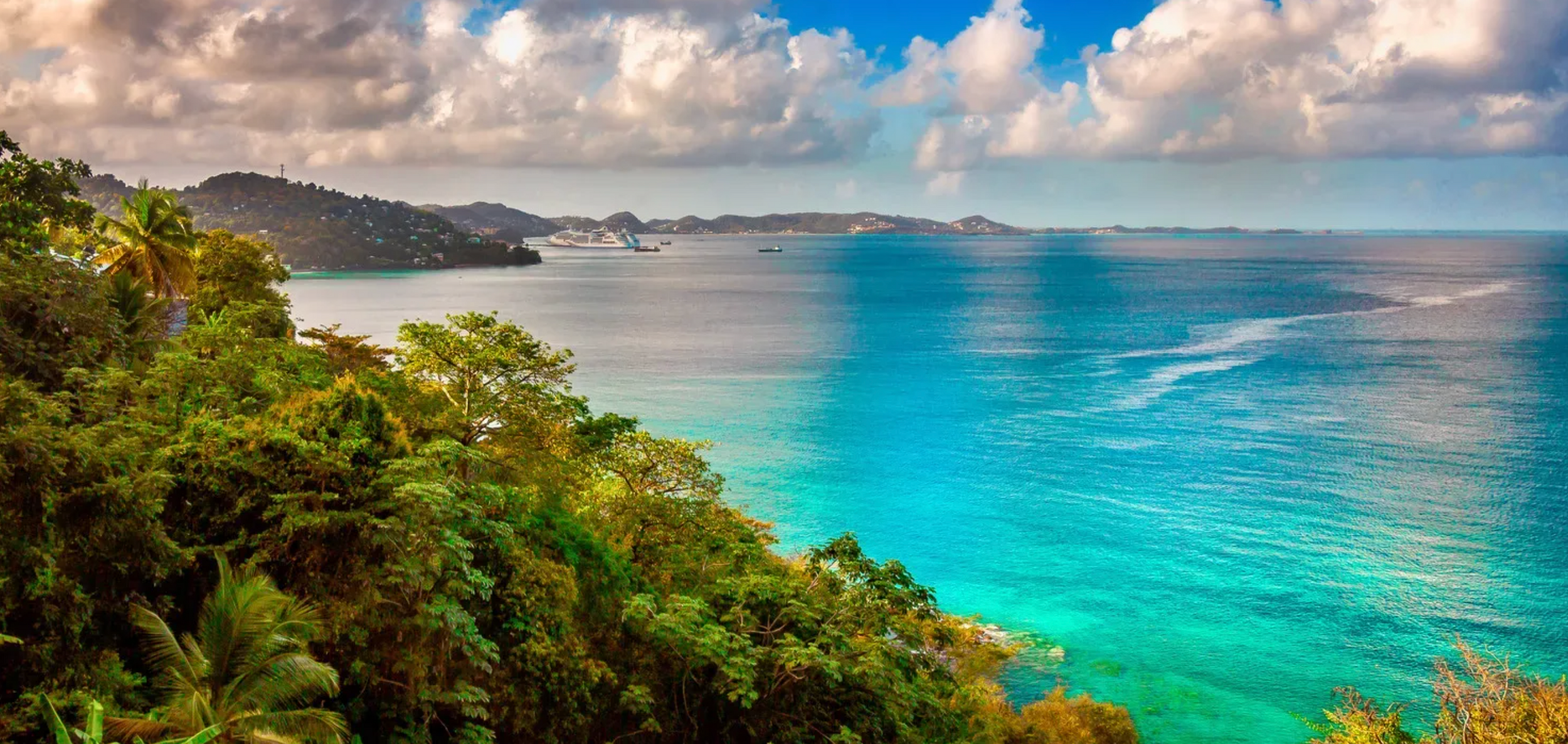 Grenada Fishing Charter | Saltwater Euphoria