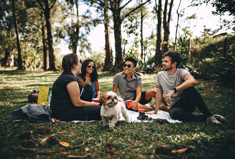 Awesome Outdoor Activities To Do With The Family In Singapore This awesome-outdoor-activities-to-do-with-the-family-in-singapore-this