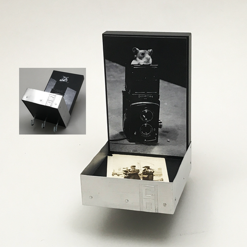 Snapshot | Had Matter