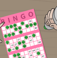 Bingo Granny | braidwoodstuart