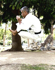 An Interview with Toru Shimoji