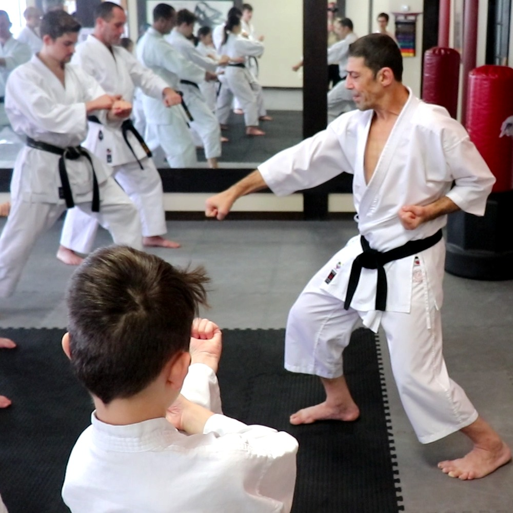 Form and Principles in Karate
