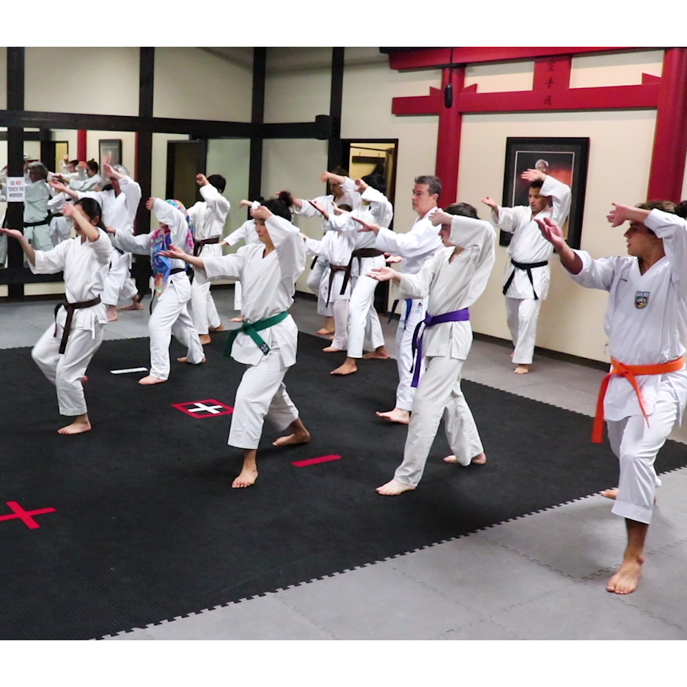 What Age for Karate? A Parent’s Guide to Starting Young