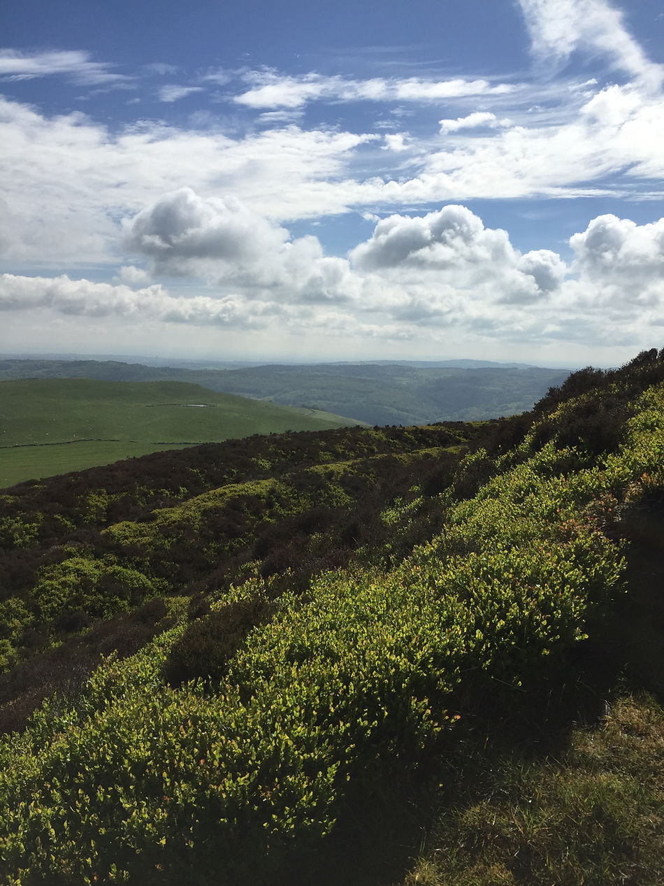 Moel Fenlli | Curious Clwyd