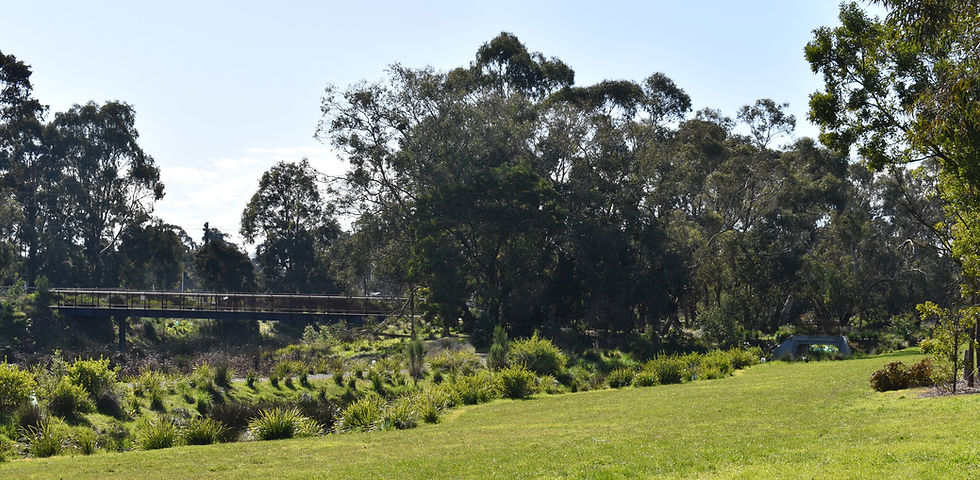 Voices Of Deakin | Community Group