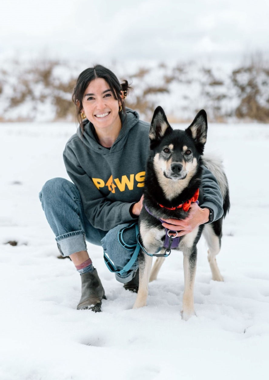 About Our Programs, Team, & Shelter | PAWS