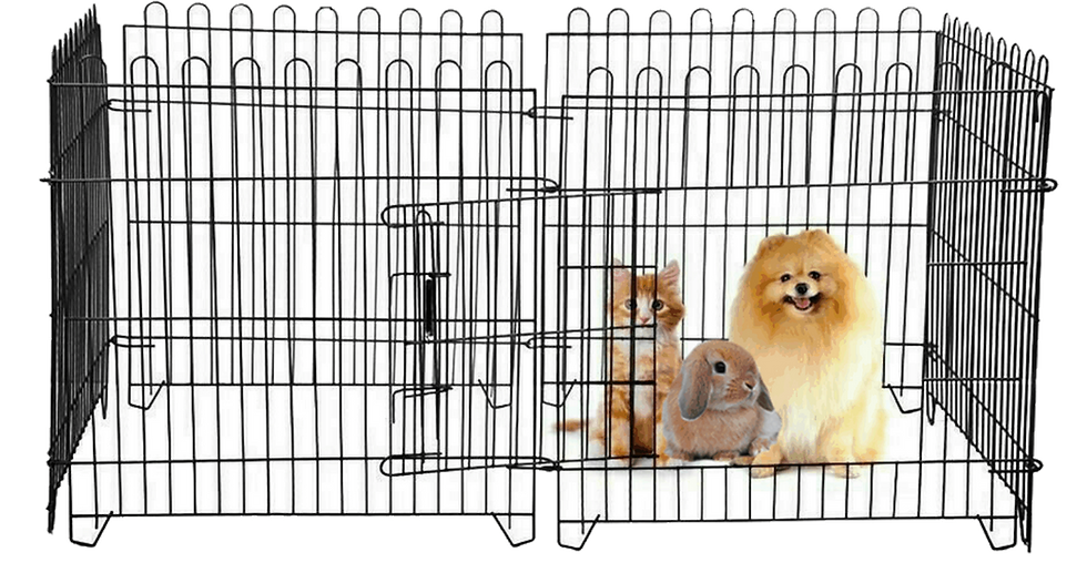 Jaulas, Transportadores, Kennel Conejos | Home Mascot