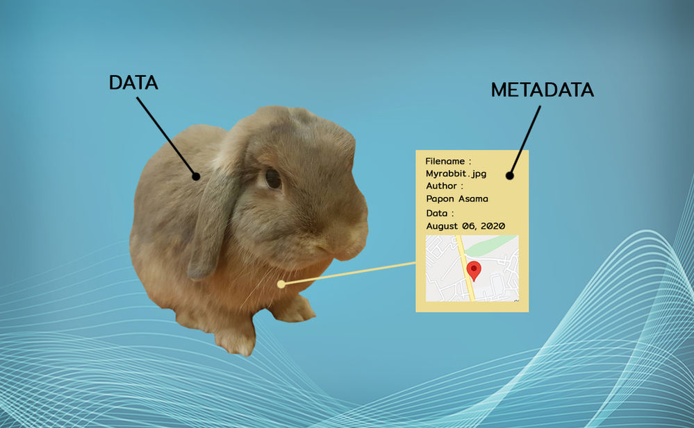 Metadata ต่างกับ Data Dictionary อย่างไร?