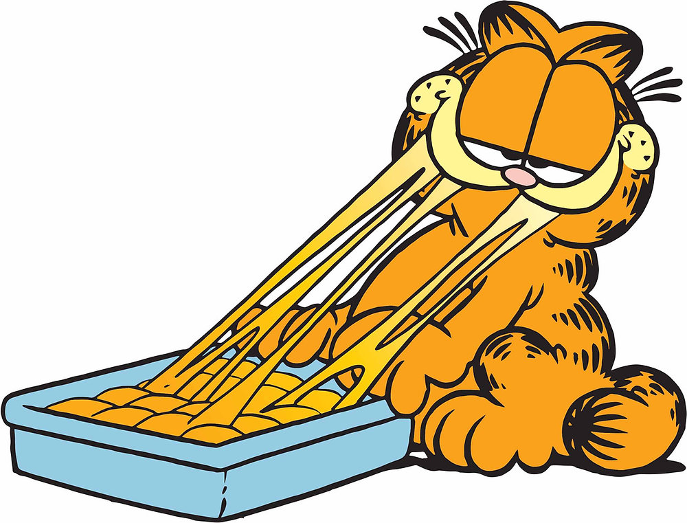 Official Review of Garfield's Lasagna