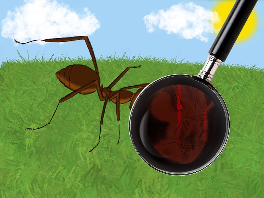 Everyday things that look crazy zoomed in