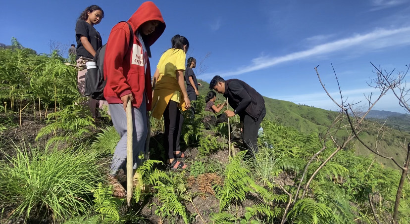 Planting Trees to Rebuild Ecosystem.