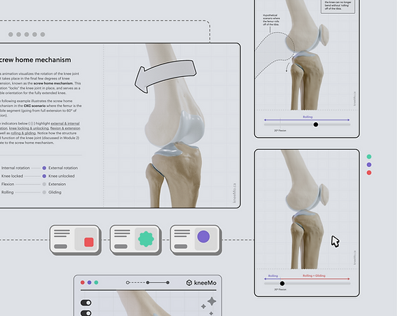 Tibiofemoral movement - Module 3 | kneeMo