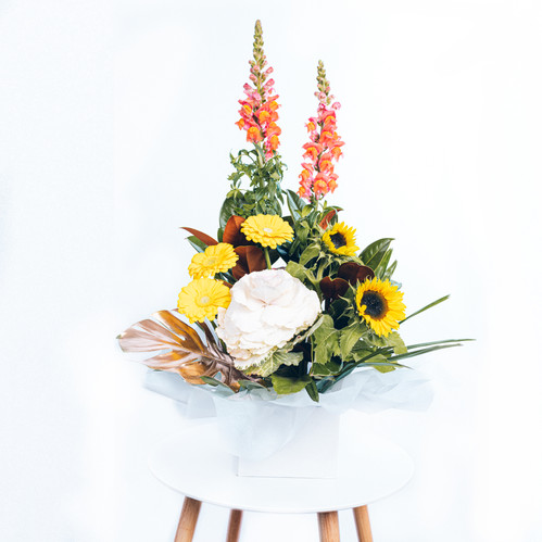 Snappy Box | All Occasion Flowers