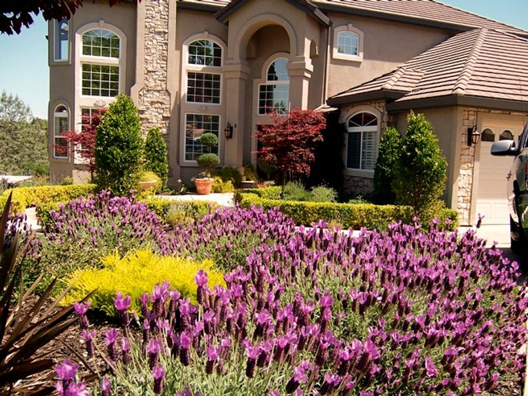 Home | Eric Betz Landscaping