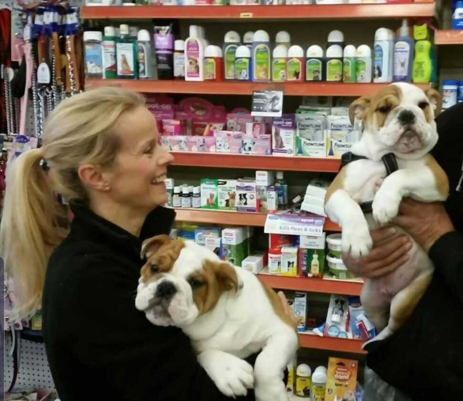 Pet shop online | Emerson's Pet Centre | Sunderland, Felling