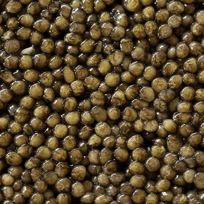 N25 Caviar | Superior Sturgeon Caviar