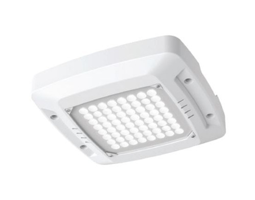 Canopy Led Downlight | CoartsLighting