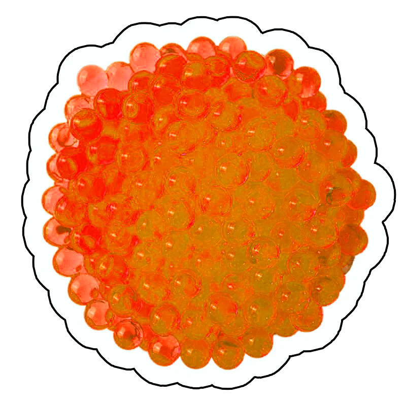 Gellyball Legends | Atlanta's Best Gellyball Party | The Best Gellyball ...