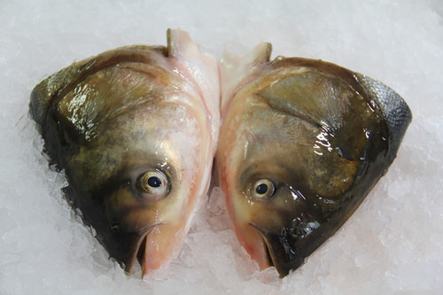 Fish Head (Half) | Two Rivers Fisheries